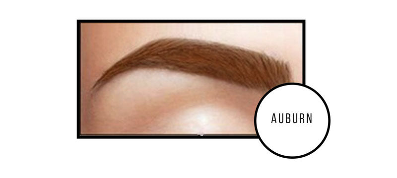 Find Your Shade | JOEY HEALY EYEBROW MAKEUP PRODUCTS – Joey Healy